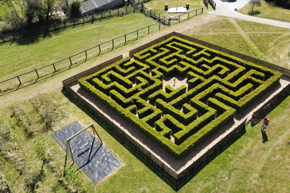 Hedge Maze - Glynn Barton Holiday Cottages
